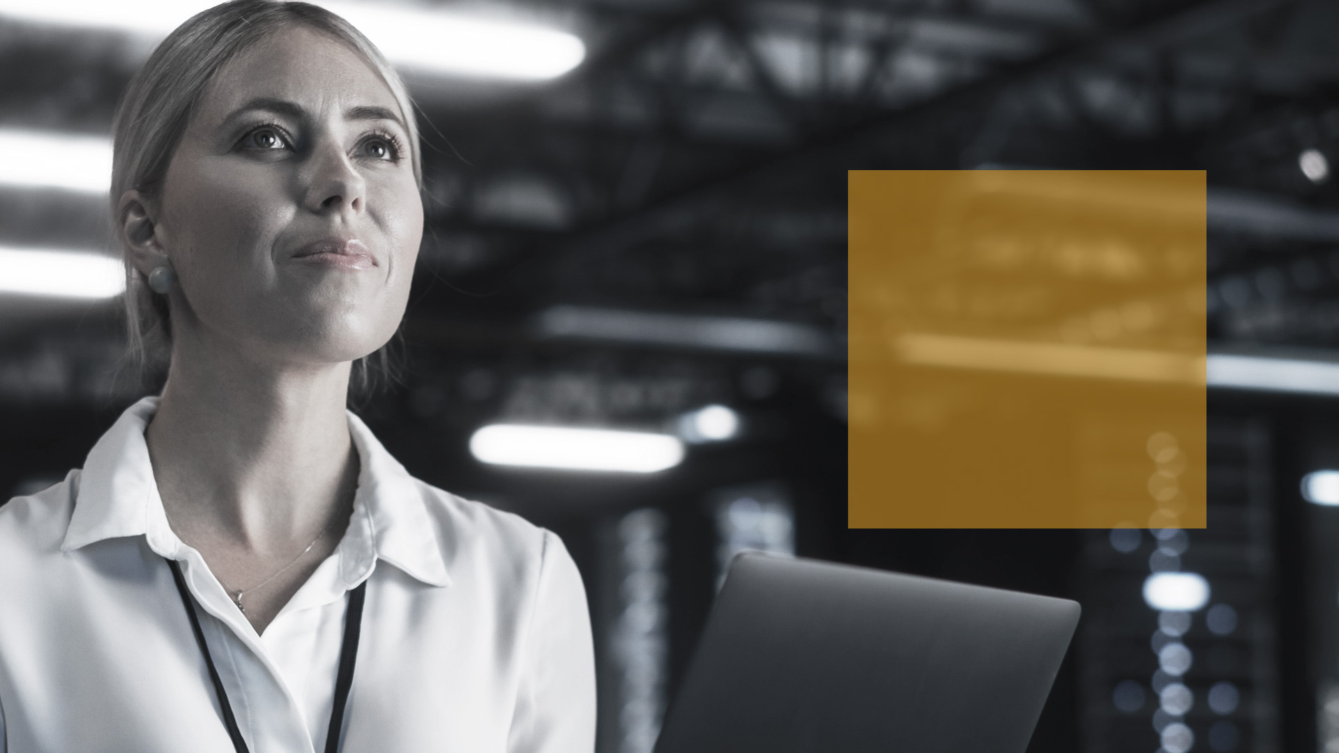 Building a new total brand experience for Celsio